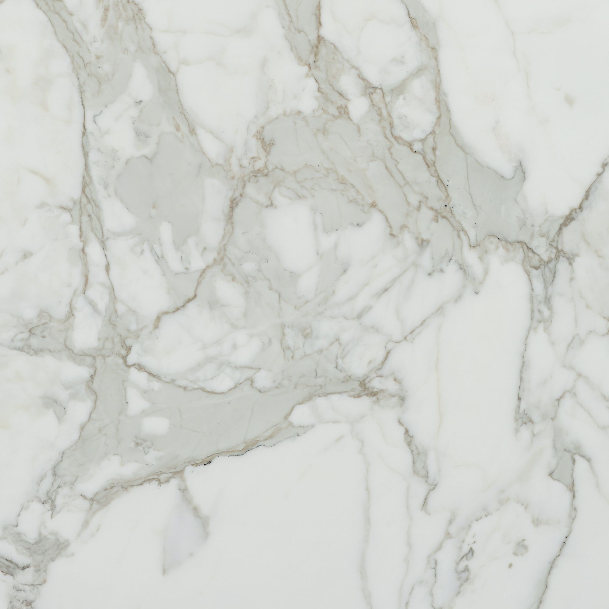 CALACATTA GOLD | BAS Stone